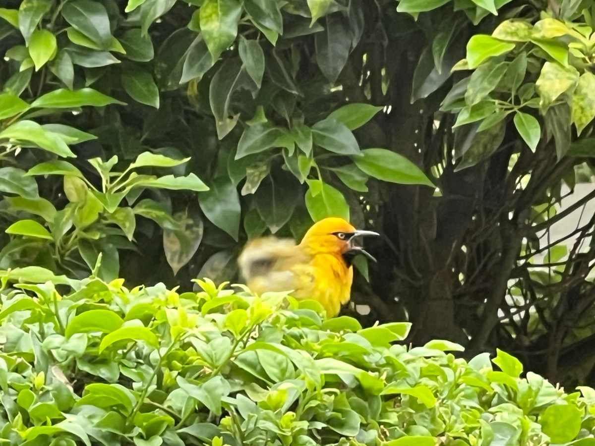 In the real world theory follows practice – 300Paychecks